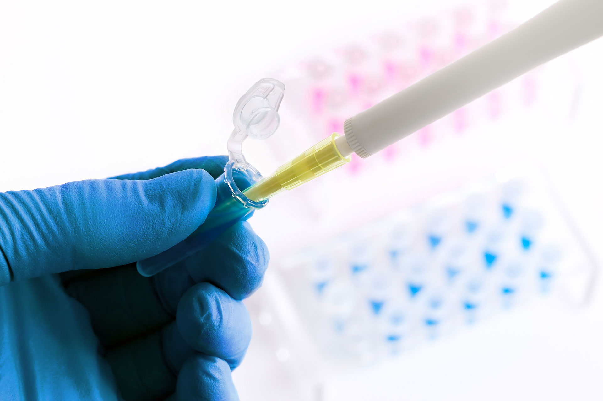 vivacell Biotechnolgy GmbH | Quality in vitro and in vivo Research Services